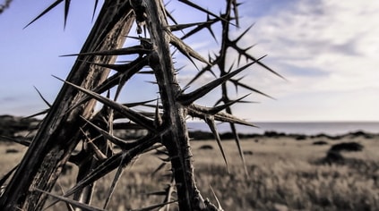 Easy Word | Học từ vựng | Vocabulary learning